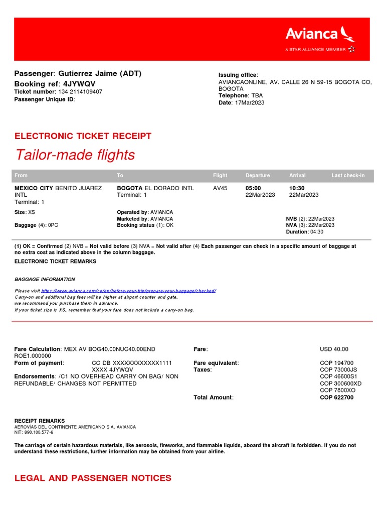 Tailor-Made Flights: Electronic Ticket Receipt | PDF