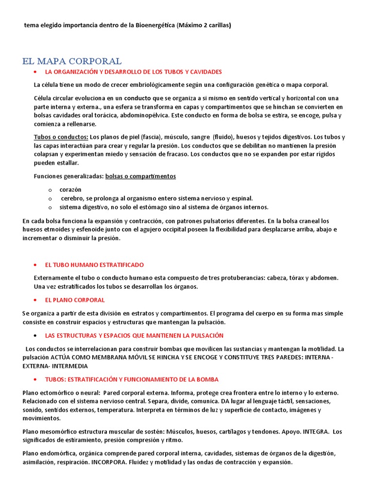 El Mapa Corporal | Descargar gratis PDF | Músculo | Cerebro