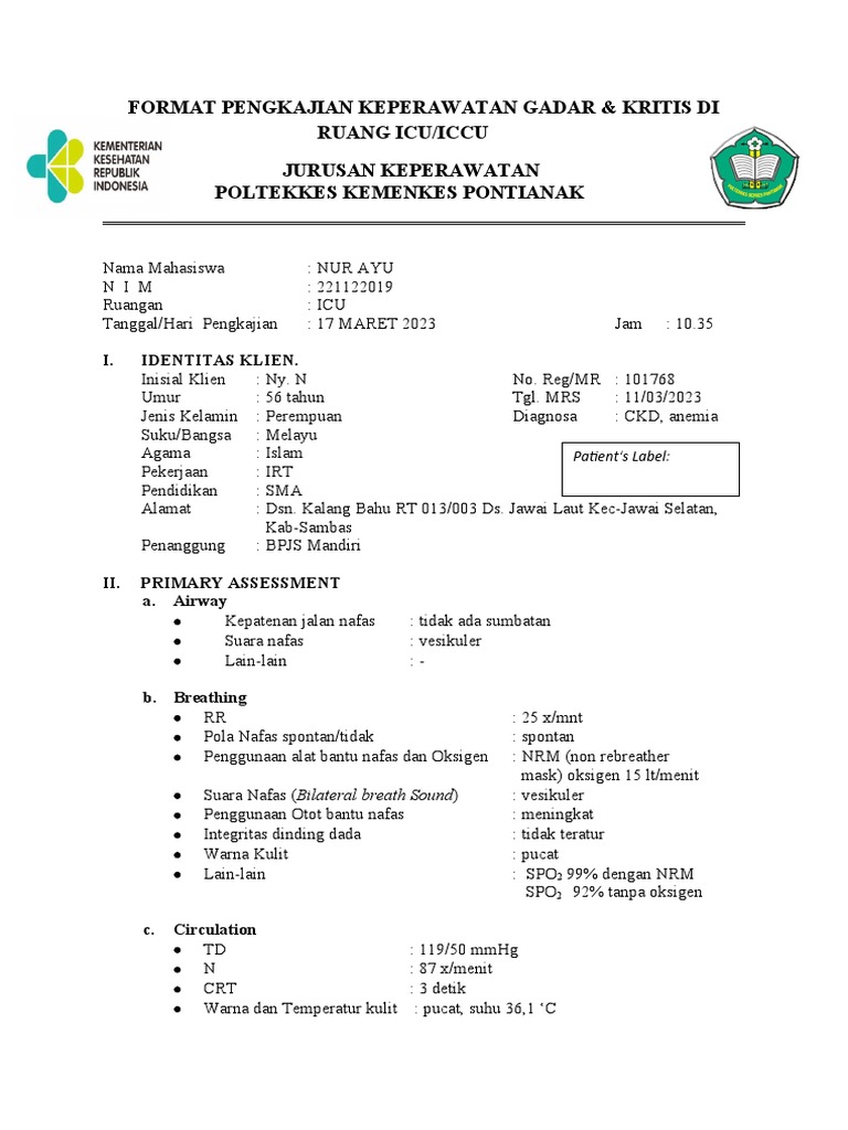 Askep Icu CKD Ayu | PDF