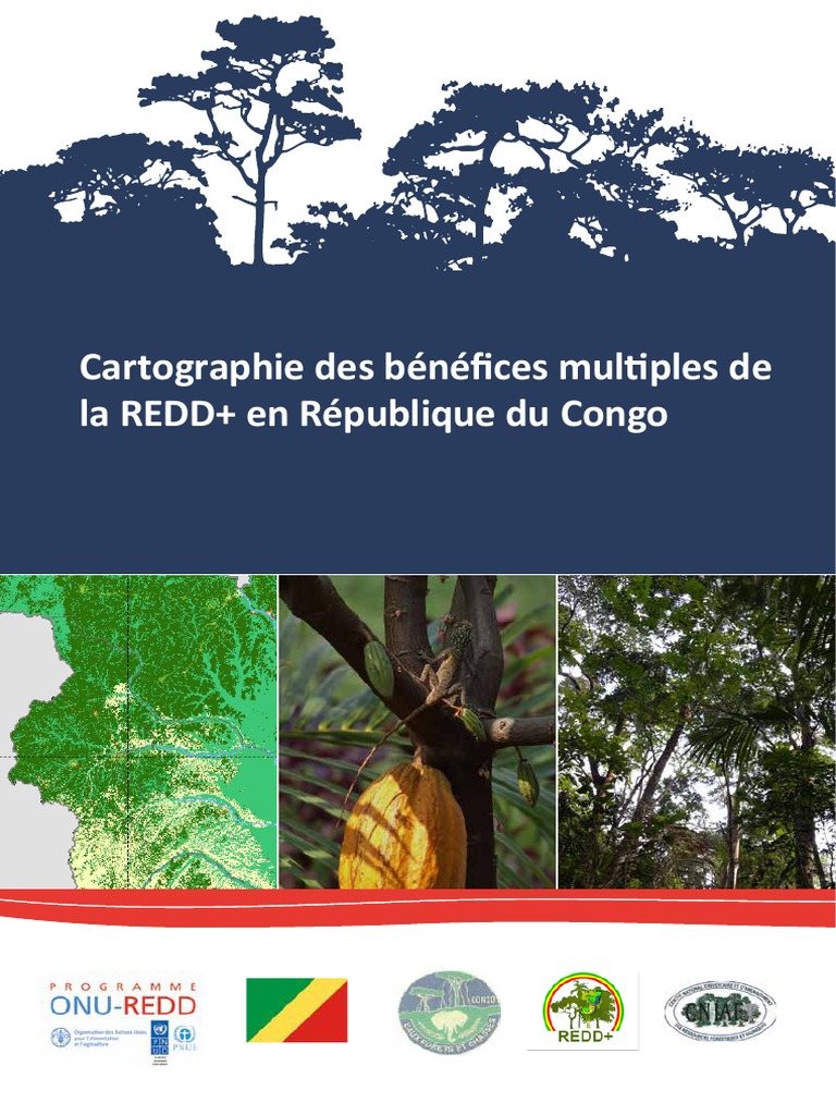 Cartographie Des Bénéfices Multiples de La REDD+ en République Du Congo - Lores | PDF | Forêt ...