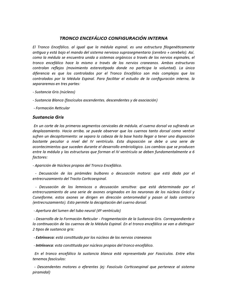 Tronco Encefálico Configuración Interna | PDF | Médula espinal | Materia gris