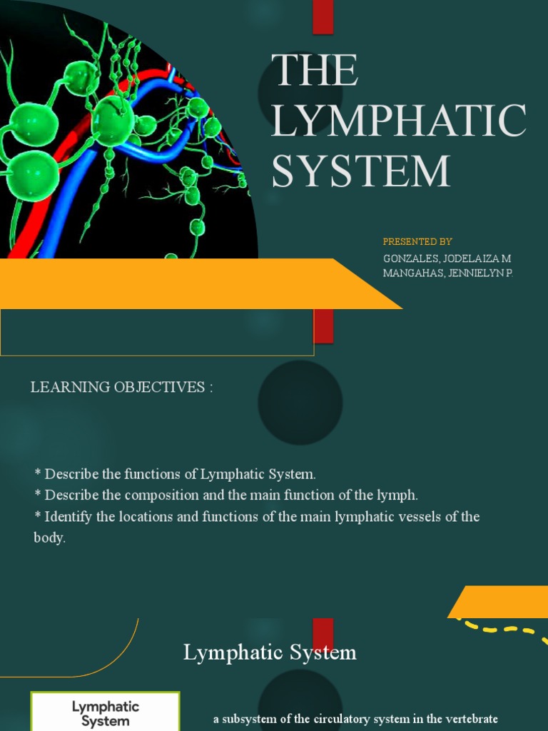Functions of the Lymphatic System | PDF | Lymphatic System | Lymph