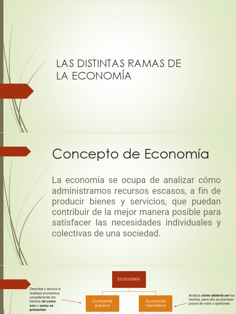 Las Distintas Ramas de La Economía | PDF | Ciencias económicas ...