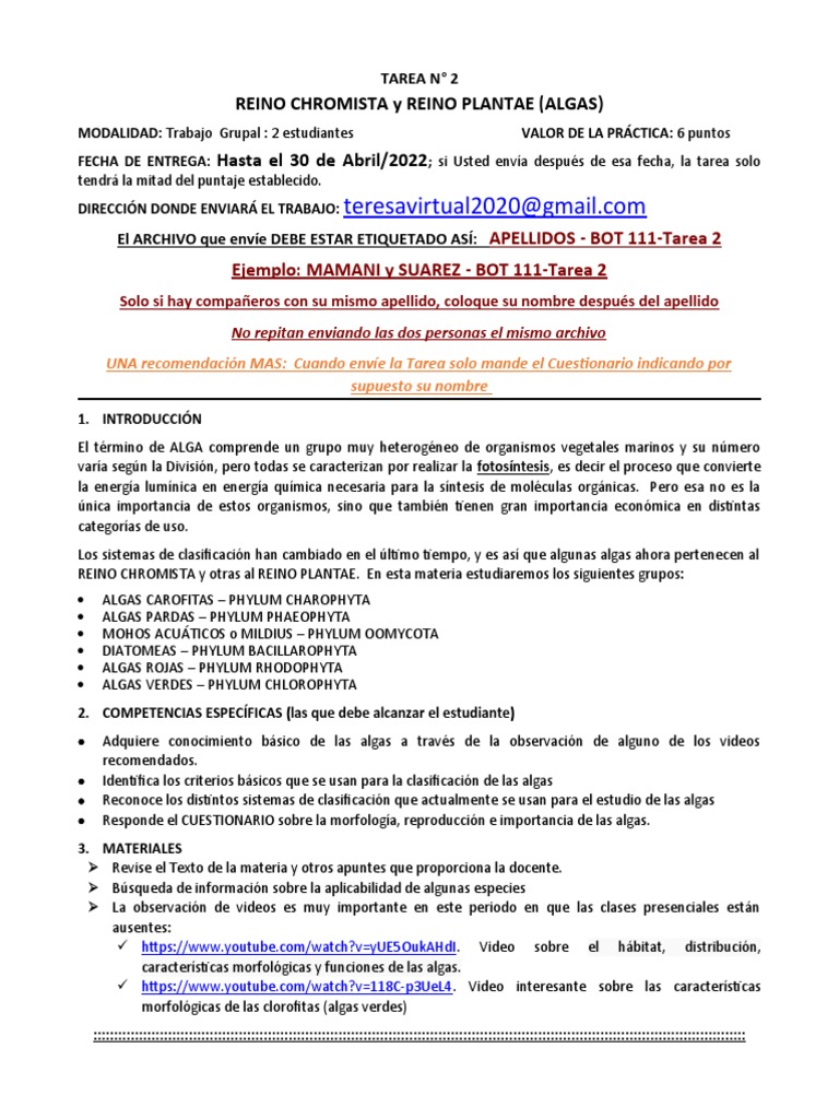 Clasificación y características de las algas del Reino Chromista y ...