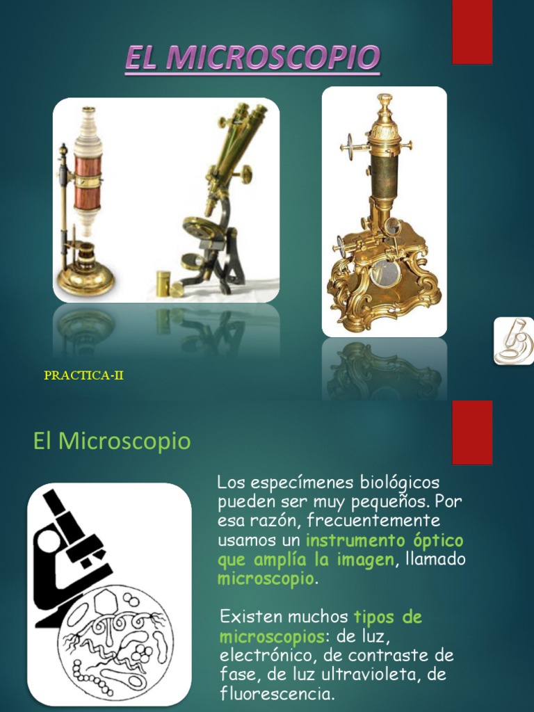El Microscopio Lab-Ii | PDF | Microscopio | Ciencias fisicas