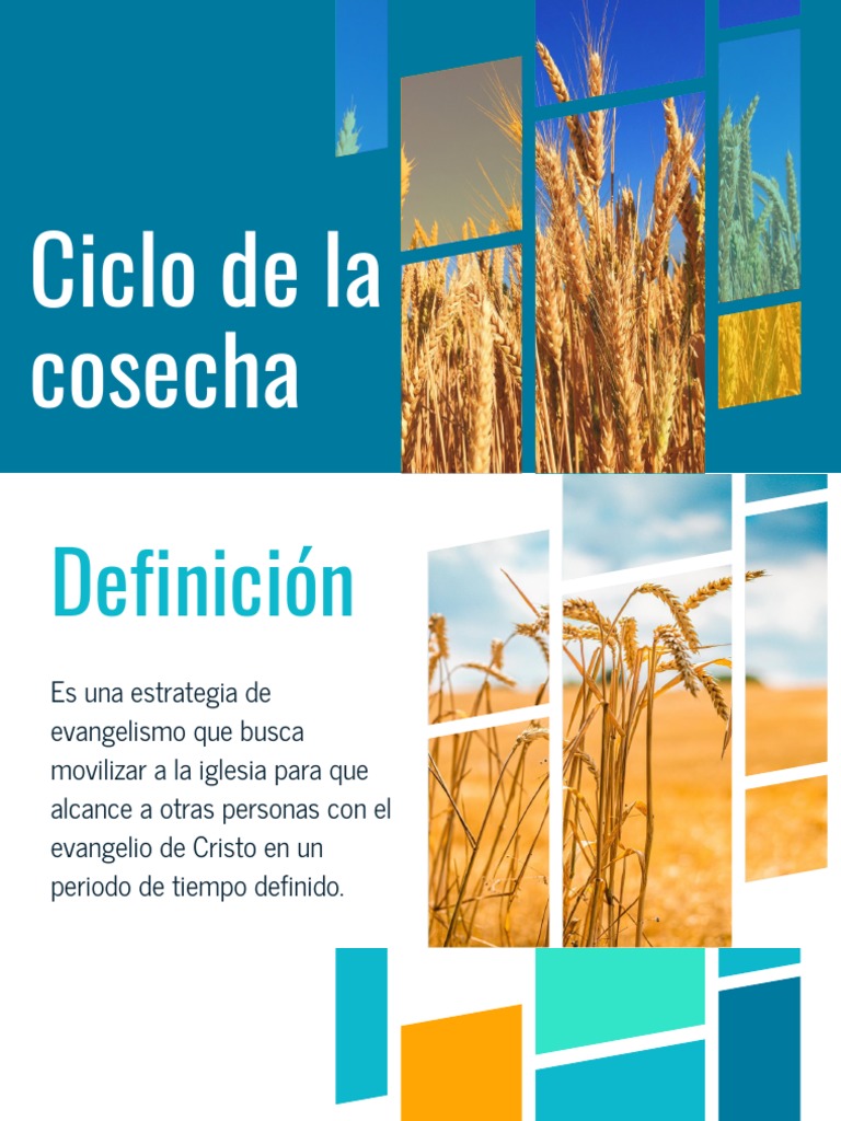 Ciclo del cosecha HN | PDF | Jesús | Oración