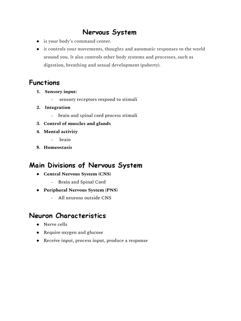 Nervous System - NOTES | PDF | Spinal Cord | Myelin