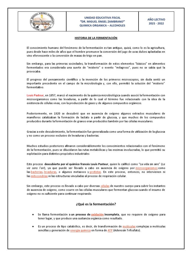 Historia De La Fermentación Pdf Fermentación Levadura