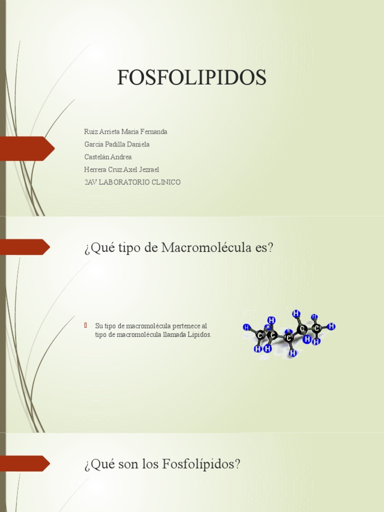 Los fosfolípidos: una macromolécula anfipática esencial en las ...
