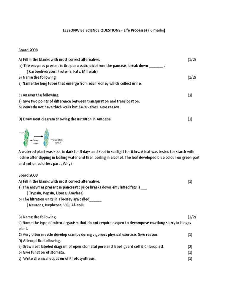 Lesson 6 Life Pros Board QTN Science | PDF | Respiratory System | Blood