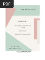 Modulo 3 Semana 5 UPN | PDF | Sociedad | Institución