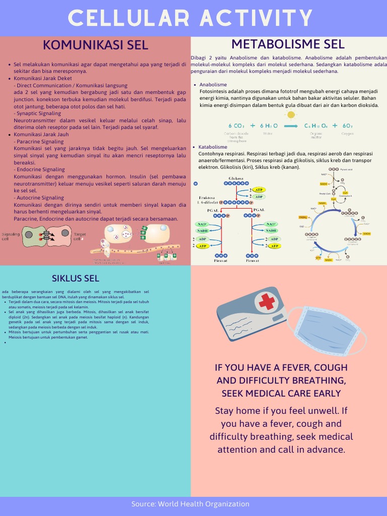 Cellular Activity | PDF
