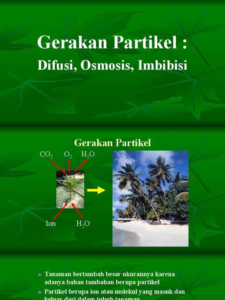 Gerakan Partikel:: Difusi, Osmosis, Imbibisi | PDF