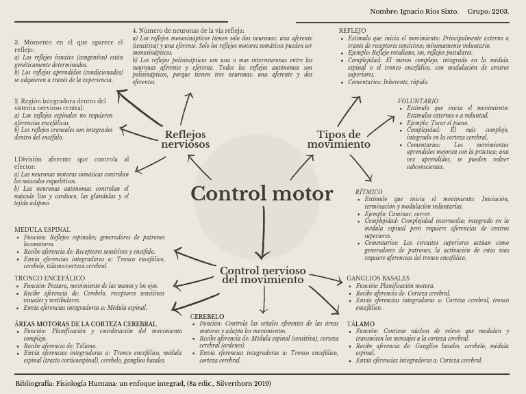 Control Nervioso del Movimiento y Reflejos | PDF | Cerebro | Cerebelo