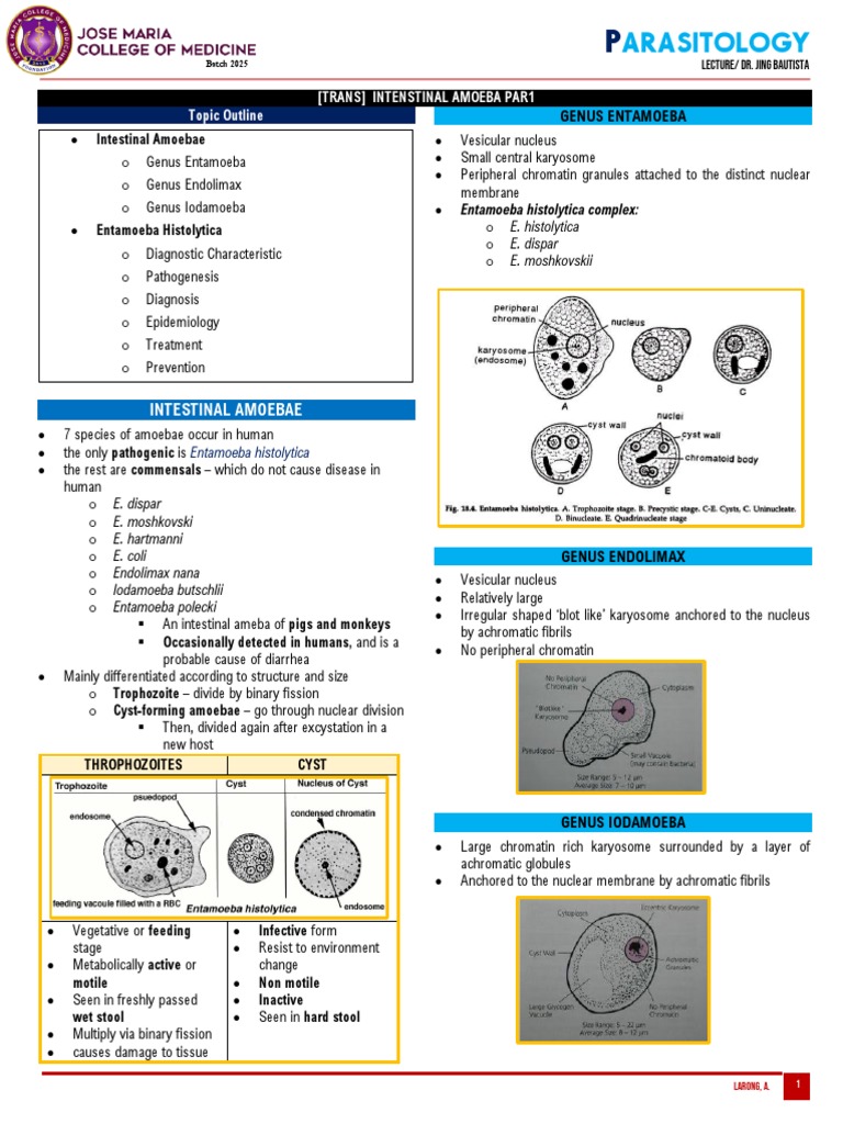 Intestinal Amoeba Pathogens | PDF | Medical Specialties | Clinical Medicine