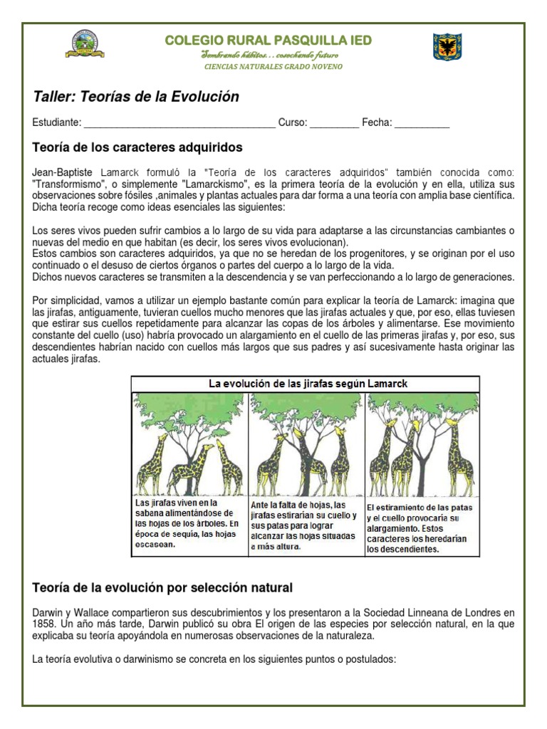 Teorias de La Evolucion | Descargar gratis PDF | Evolución | Charles Darwin