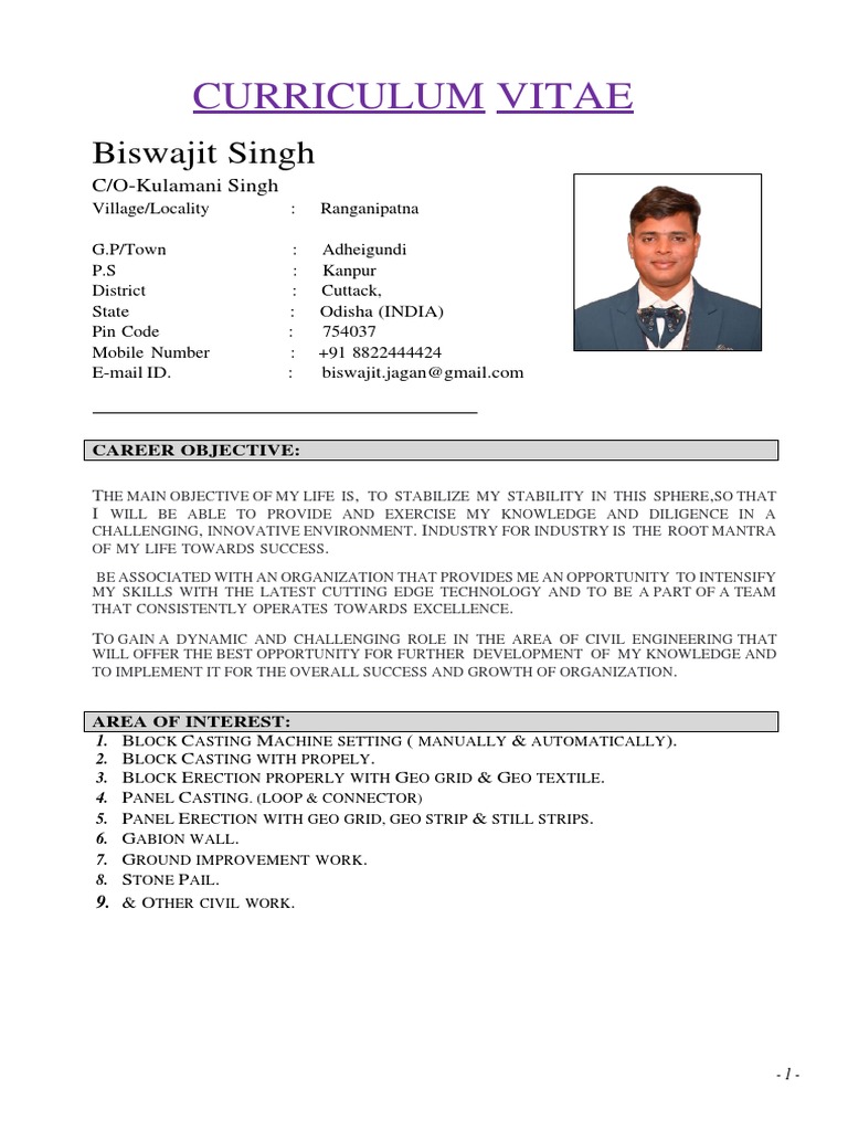 Curriculum Vitae: Biswajit Singh | PDF
