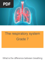 Cambridge Lower Secondary Science Book 7 - Workbook Answers | PDF
