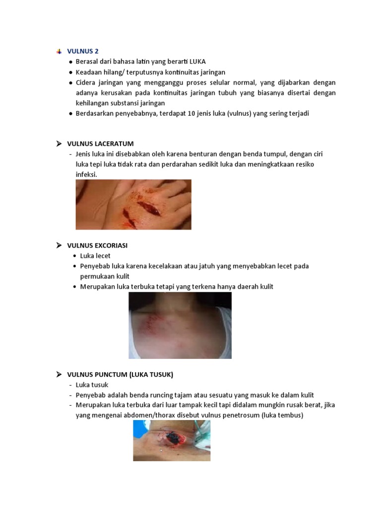 Vulnus 2 | PDF