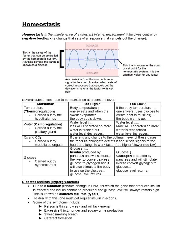 14 - Homeostasis and Endocrine | PDF | Homeostasis | Hormone