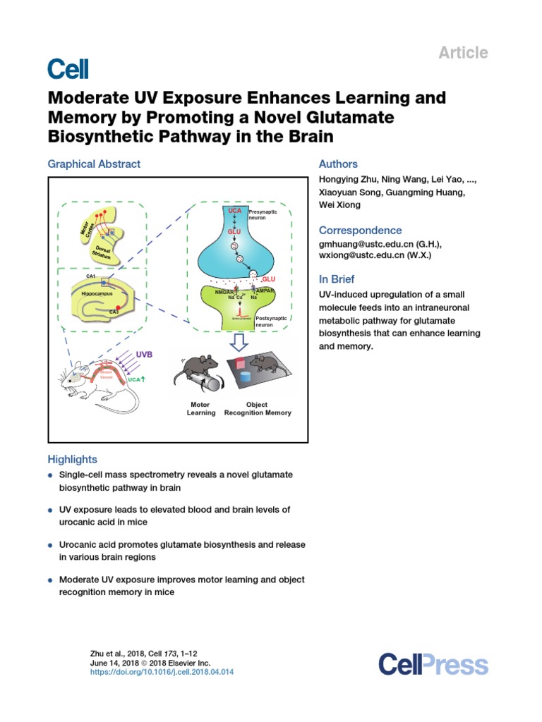 999 Moderate UV Exposure Enhances Learning and Memory by Promoting A Novel Glutamate ...