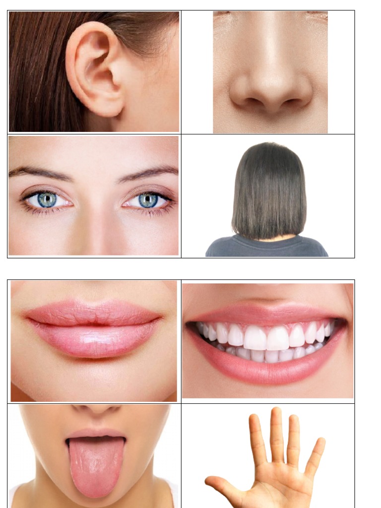 C15 G5 Body Parts | PDF