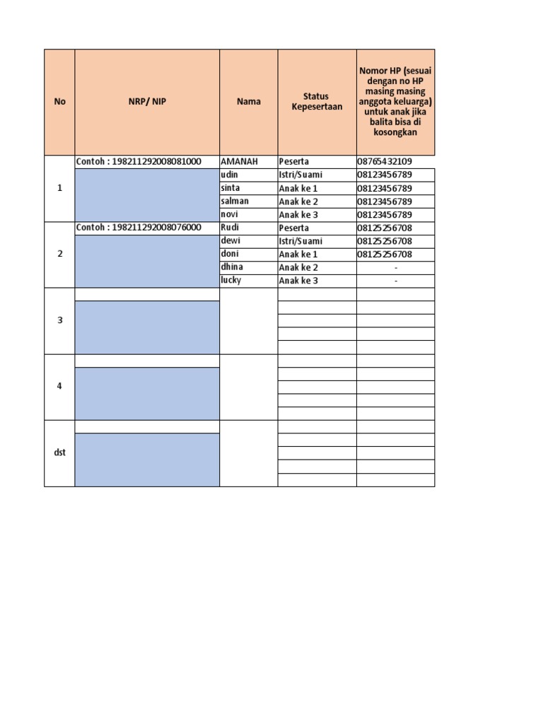Format Pemutakhiran Data JKN TNI POLRI | PDF