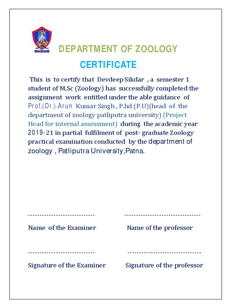 ASSIGNMENT CC4 Extra superSPECIAL - Autosaved | PDF