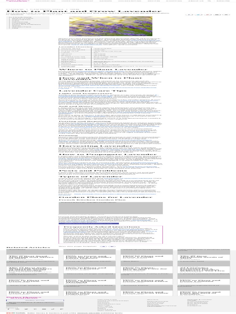 How To Plant and Grow Lavender | PDF | Lavandula | Botany