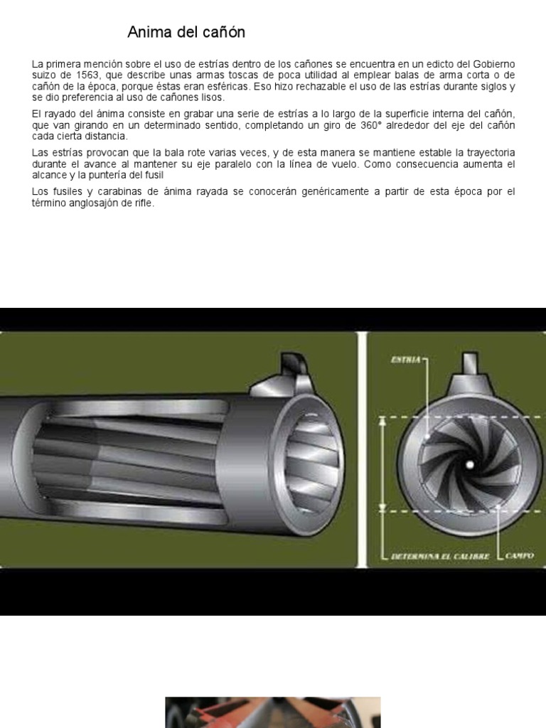 Balistica Anima | PDF