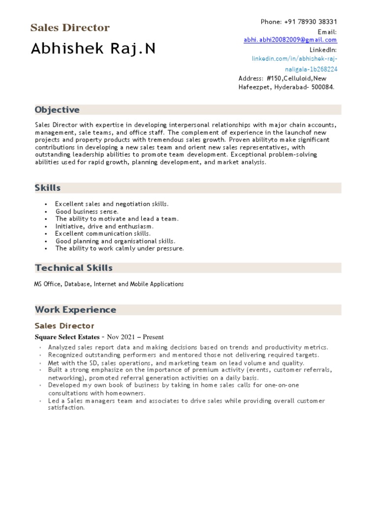 Abhishek Raj CV | PDF | Sales | Employment