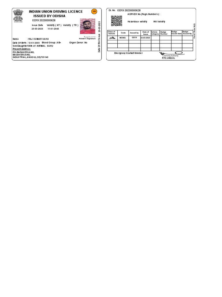 Form Seven | PDF | Government And Personhood | Driving
