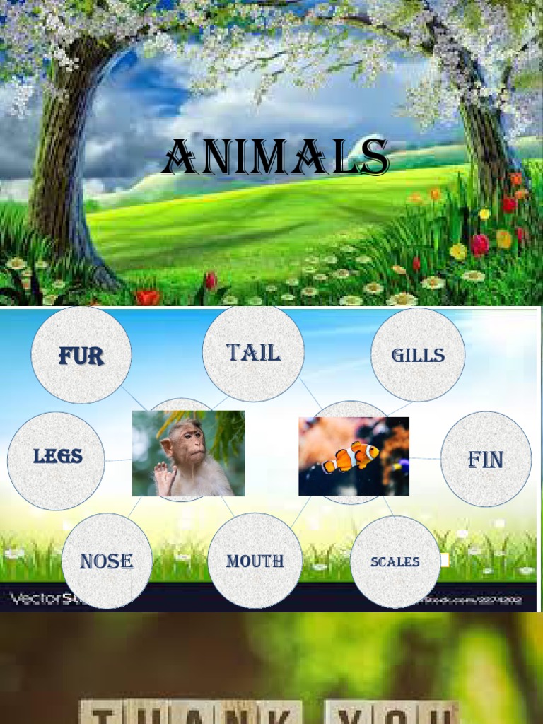 Animals Bubble Map | PDF