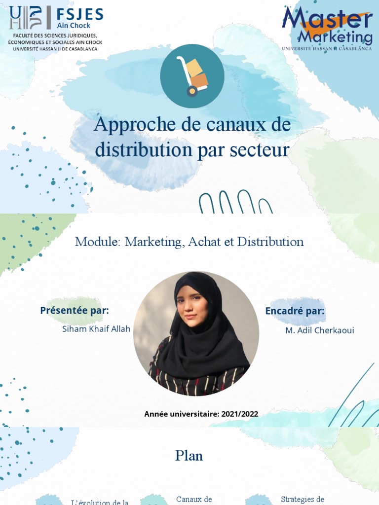 Approche Des Canaux de Distribution Par Secteur | PDF | Commerce de ...