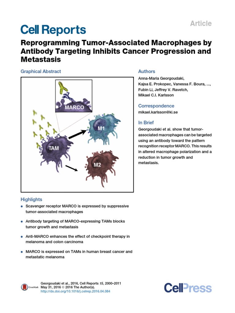 Targeting TAM Marco To Reprogram Macrophage in Cancer Cell 2016 | PDF ...