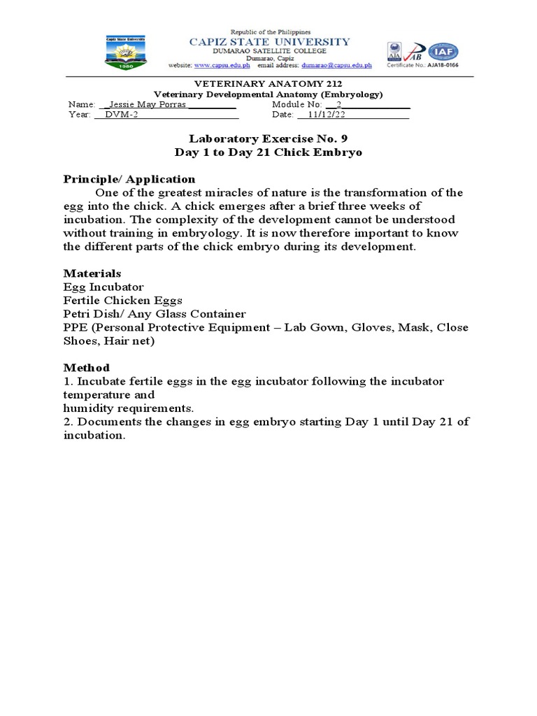 Laboratory Exercise No. 9 Day 1 To Day 21 Chick Embryo Principle ...