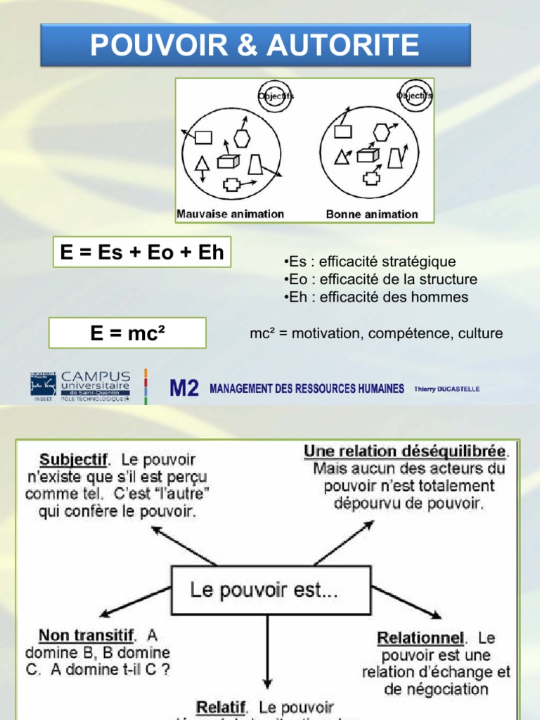 Pouvoir et Autorité dans les Organisations | PDF