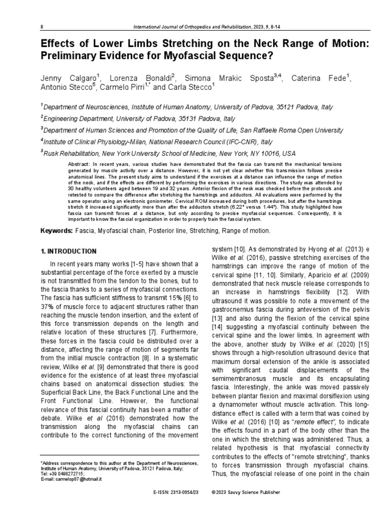 Effects of Lower Limbs Stretching On The Neck Range of Motion: Preliminary Evidence For ...