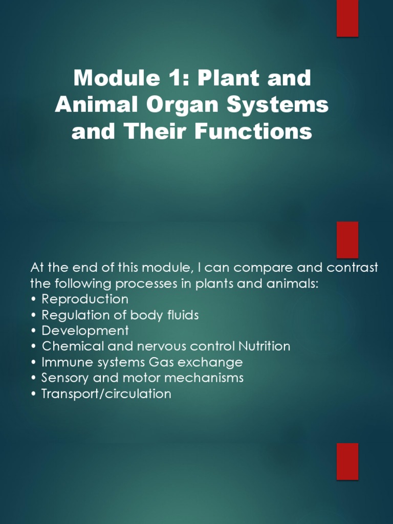 Module 1: Plant and Animal Organ Systems and Their Functions | PDF ...