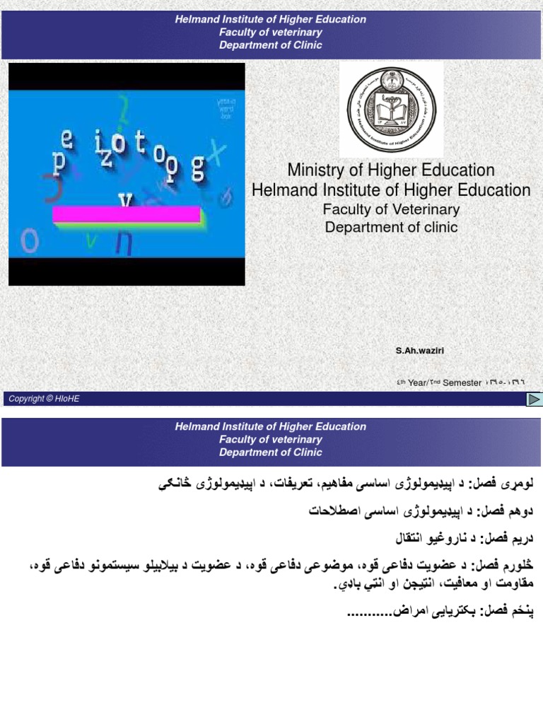 Ministry of Higher Education Helmand Institute of Higher Education | PDF