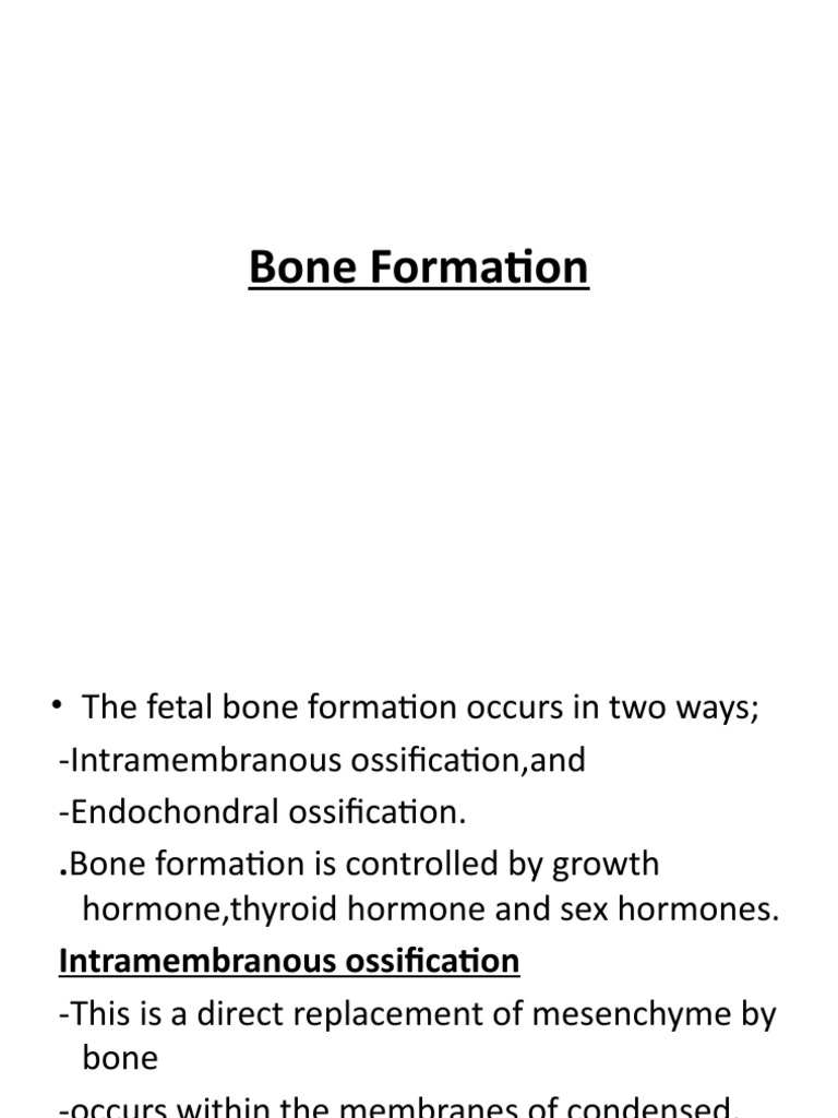 Bone Formation & Remodeling Processes | PDF | Bone | Osteoblast