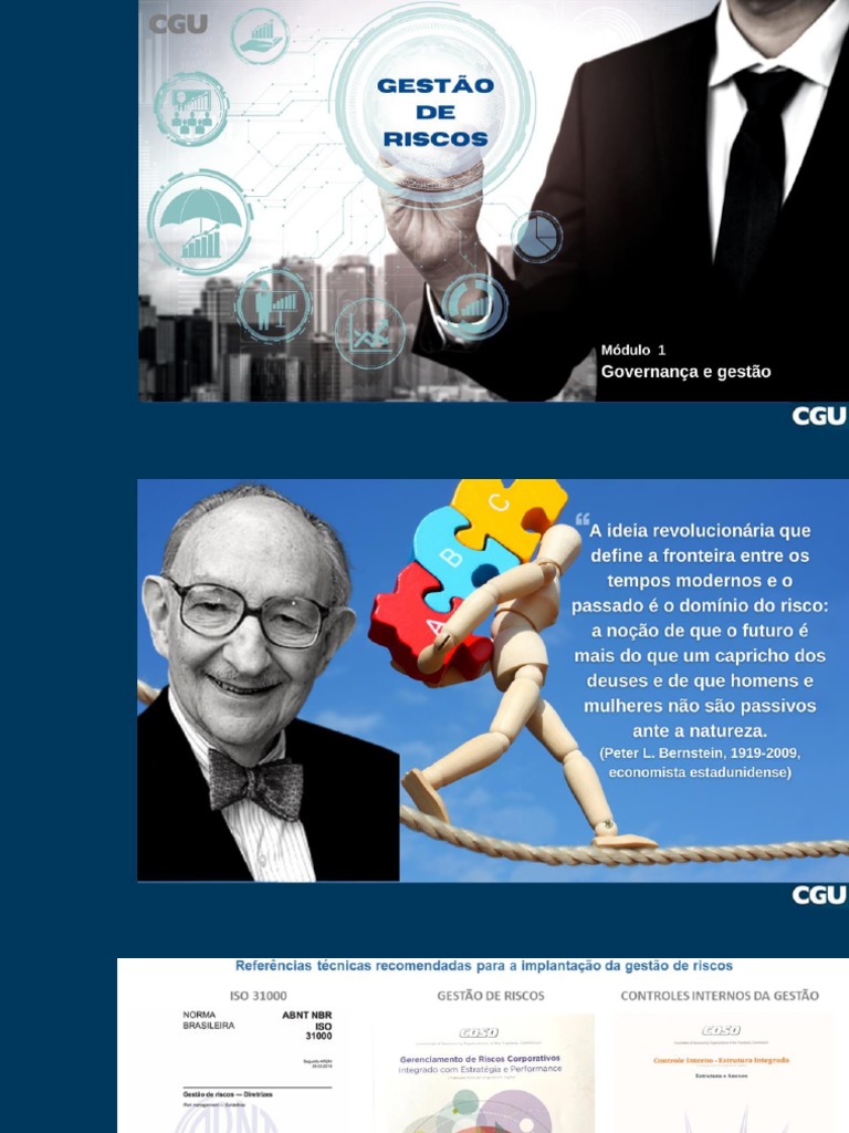 Módulo 1 - Gestão de Risco | PDF