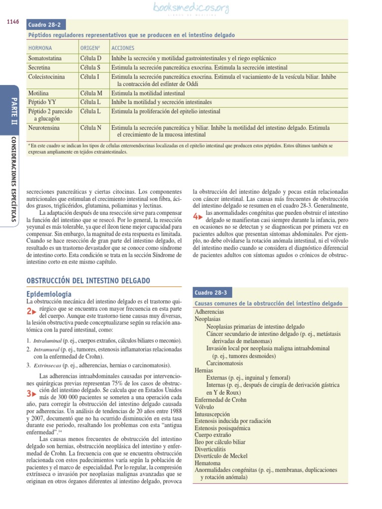 Obstruccion Intestinal | PDF | Intestino delgado | Enfermedad de Crohn