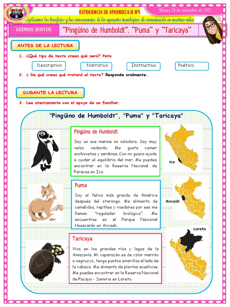 Animales de Perú: Puma, Pingüino y Taricaya | PDF | Aves | Organismos