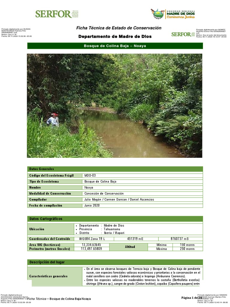 Ficha Técnica de Estado de Conservación: Departamento de Madre de Dios | PDF | Los bosques ...