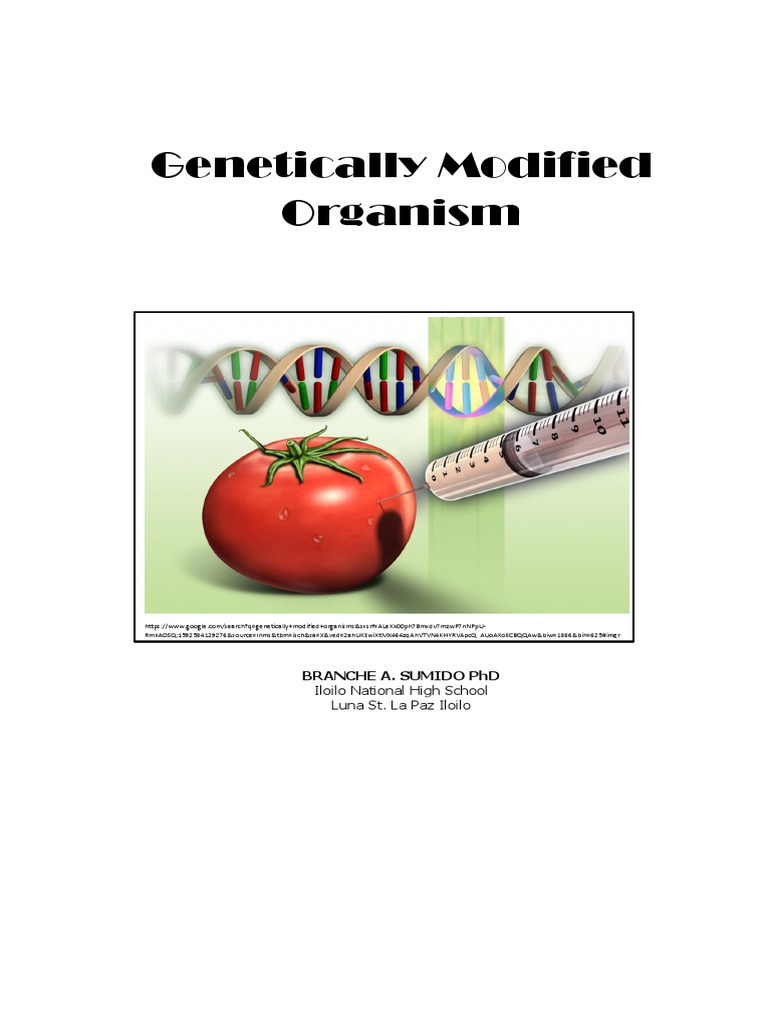 Biology Module 1 Lesson 2 Genetically Modified Organisms | PDF ...