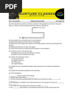 Light Class 8 | PDF | Reflection (Physics) | Eye