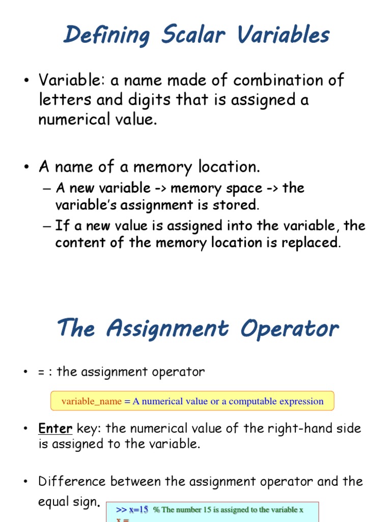 Defining And Assigning Scalar Variables Pdf Computer File