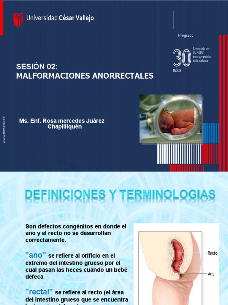 Malformaciones Anorrectales | PDF | Recto | Sexo anal
