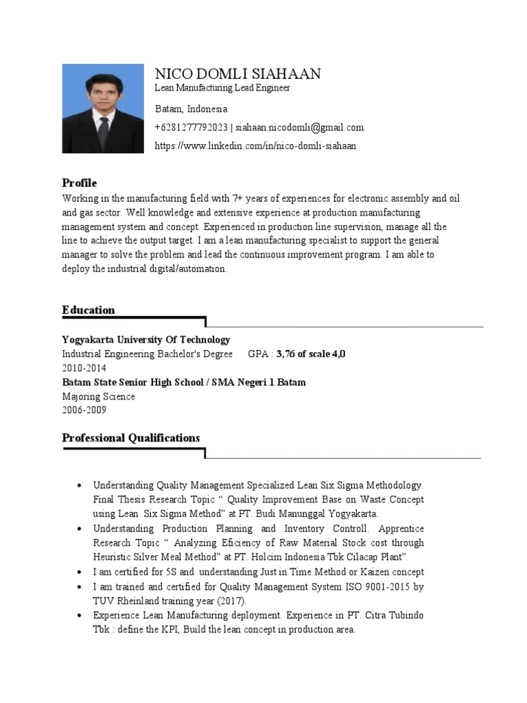 Curriculum VITAE Nico. | PDF | Lean Manufacturing | Quality Management